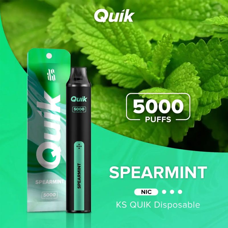 China KS Quik 5000 Puffs Disposable Vape 3% Salt Nicotine OEM ODM ...